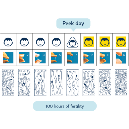 The Ovulation Method How it works? – Family of the Americas